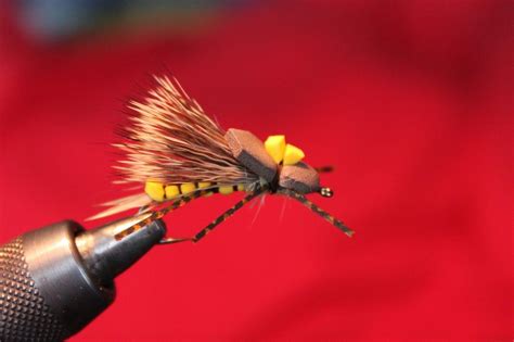 Image result for Fly Tying Stonefly Patterns