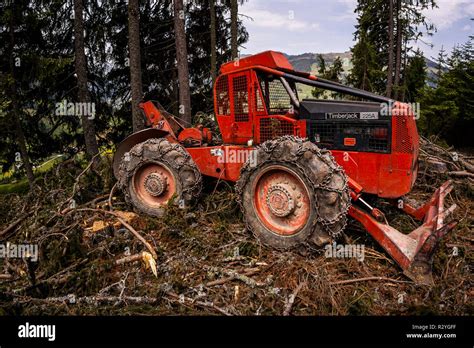 Image result for Mini Timberjack