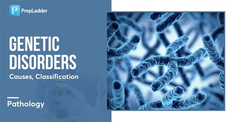 Image result for Three Types of Genetic Disorders