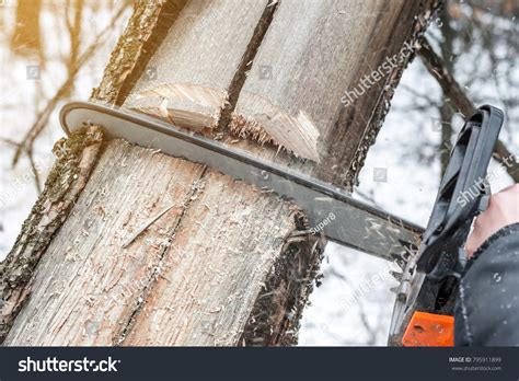 Image result for Tree Saws Hand