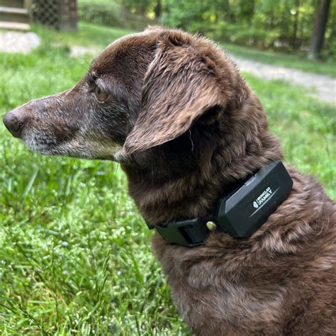 Image result for RFID Blocking Wallets On a String