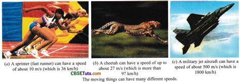 Image result for Speed Definition Science