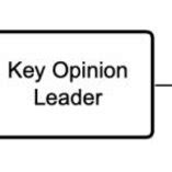 Image result for Two-Step Flow Model
