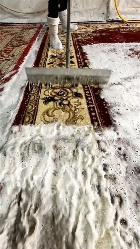 Image result for SoClean Clip