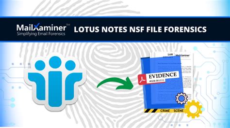 Image result for Understanding Lotus Notes NSF File