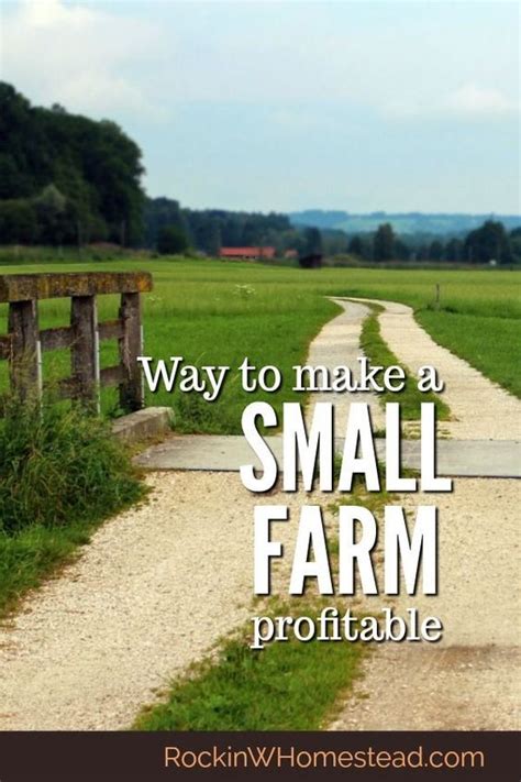 Image result for Very Small Farm Setup