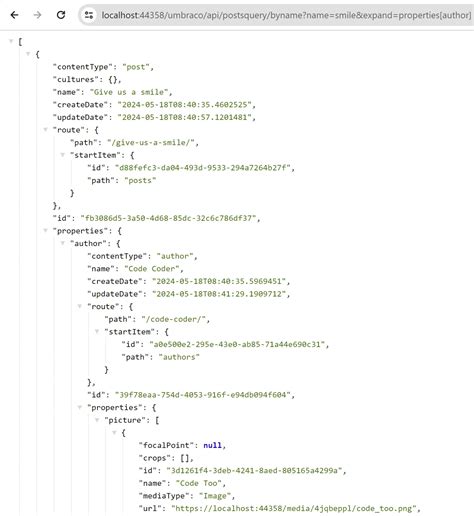 Image result for Custom API Code