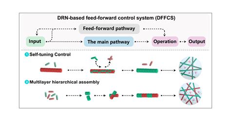 Image result for Distal Control Elements