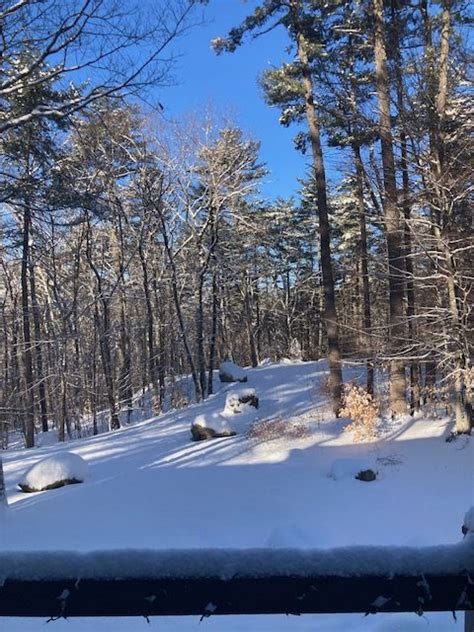 Image result for Weather Powder Bases