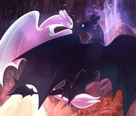 Image result for Toothless Mate