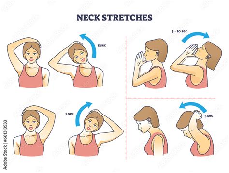 Image result for Neck Rotation Exercise Outline
