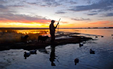 Image result for Goose Hunting Setups