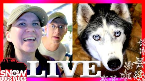 Image result for Snow Dogs Vlogs Mail