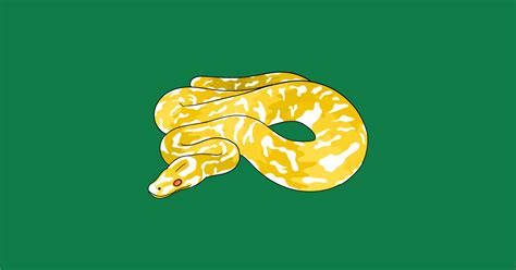 Image result for Burmese Python Cartoon