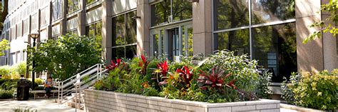 Image result for JD/PhD Programs