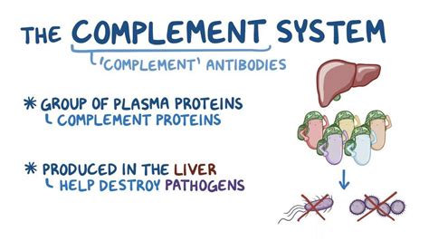 Image result for Complement System Electron Microscope