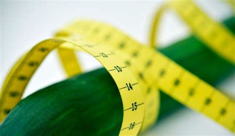 Image result for Measuring Torso Length for Backpack