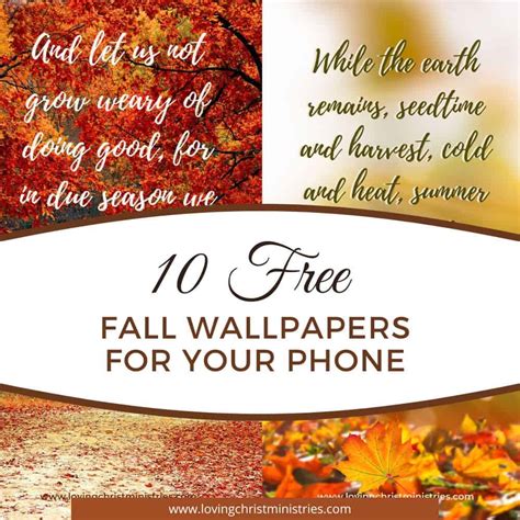 Image result for Fall Leaves with Scripture