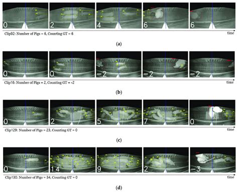 Image result for Breed Method for Counting Totacal Count How Counting Is Done