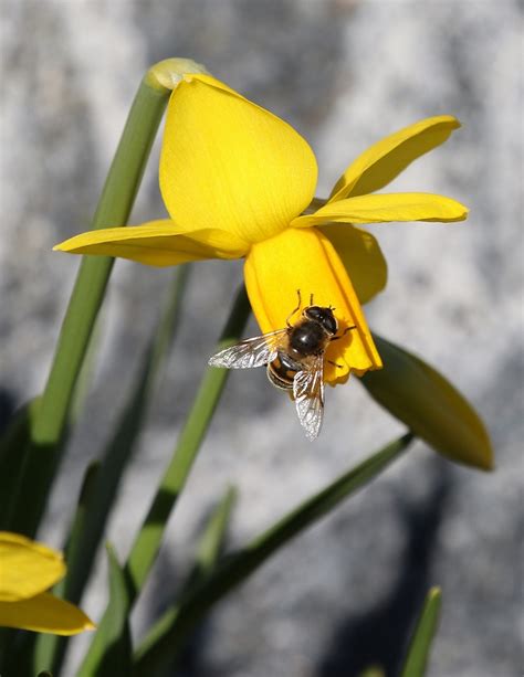 Image result for Springing