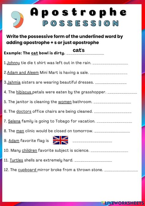 Image result for Apostrophe Practice Worksheet