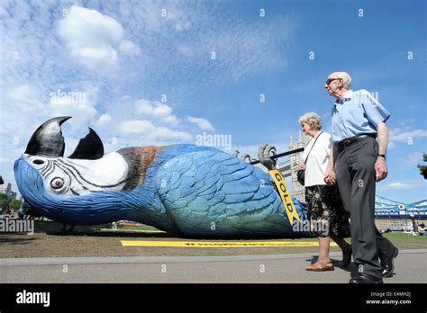 Image result for Monty Python Dead Parrot