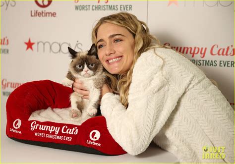 Image result for Grumpy Cat Owner