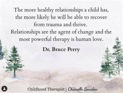 Image result for Bruce Perry Relationship Is Key