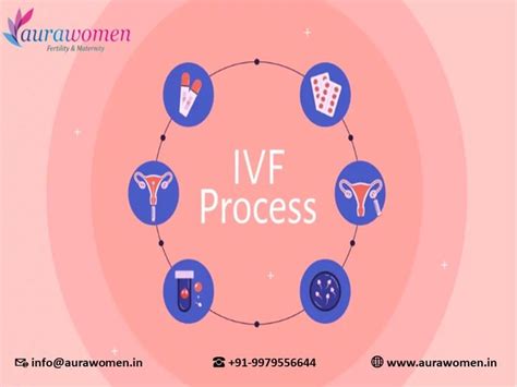 Image result for How Is IVF Done