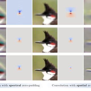 Image result for Image Convolution