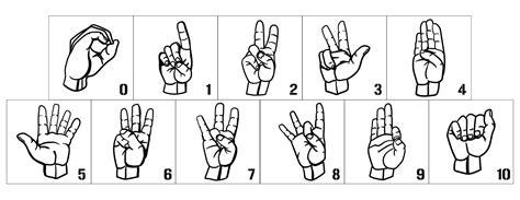 Image result for Sign Language Number 10