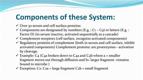 Image result for Real Complement System