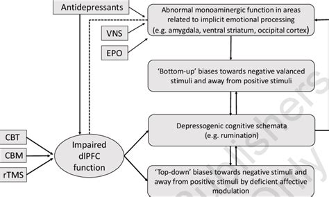 Image result for Cognitive Dysfunction in Mdd