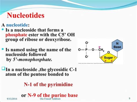 Image result for Nucleic Acid Chemical Structure