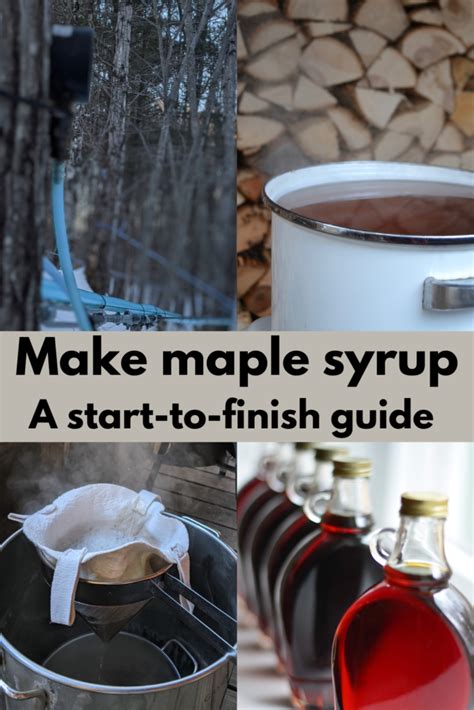 Image result for Quebec Maple Syrup Making