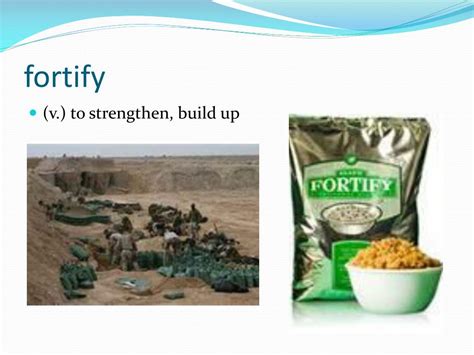 Image result for Define Fortify