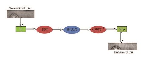 Image result for Homomorphic Filtering Flowchart
