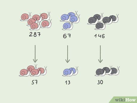 Image result for Fish Ball Random Sampling Formula