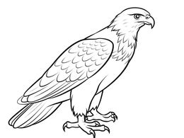 Image result for Hawk Drawing Colors