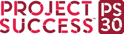 Image result for Project Success 1
