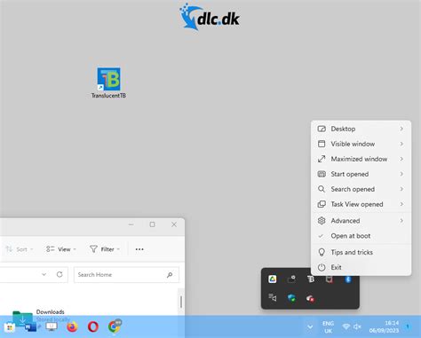 Image result for Translucenttb Ex