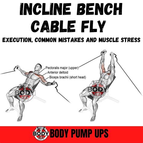 Image result for Incline Bench Cable Fly