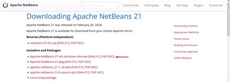 Image result for NetBeans Install