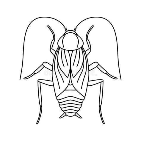 Image result for Cockroach Line Art