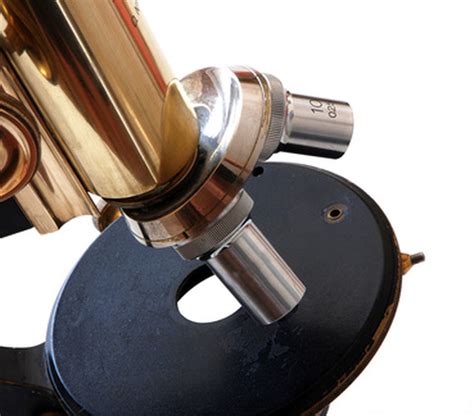 How To Calculate Magnification On A Light Microscope