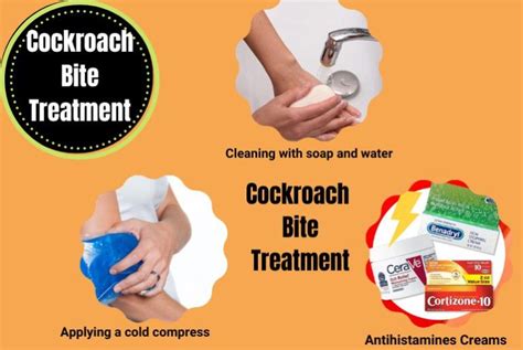 Cockroach Bite Symptoms and Treatment at Home - A Visual Guide - The ...