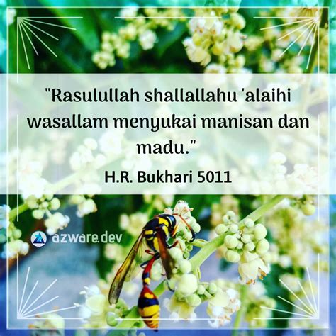 Image result for Azware Re-Encode Dolce