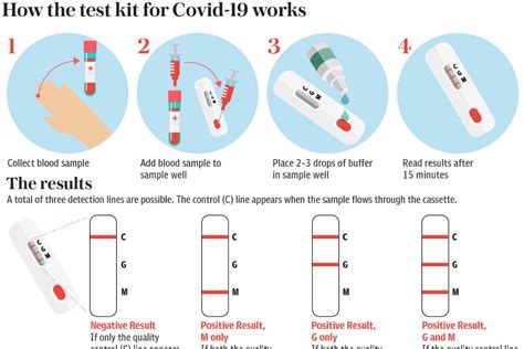 Image result for BSF Study Questions