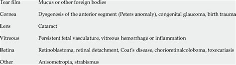 Image result for Red Reflex