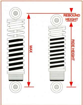 Image result for Head Spring Variation